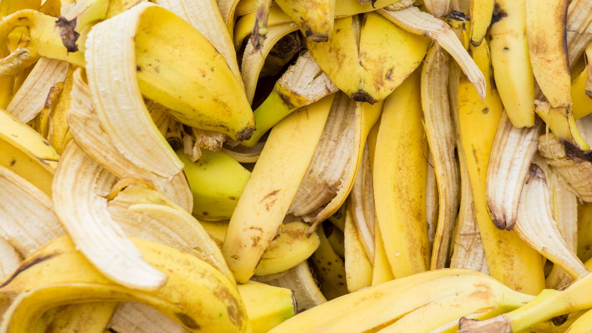 Mezclar cáscaras de plátano con vinagre: para qué sirve y por qué lo ...